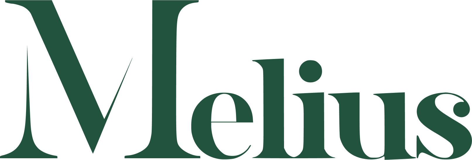 Melius Finance - Your Partner in Financial Solutions